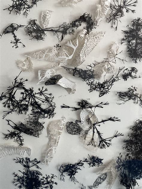 Non Linear Histories Priveekollektie