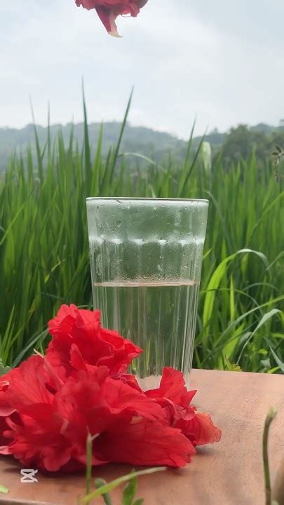 වද මල් වලින් බීම එකක් බොමුද 🌺😍 ඔයාලගේ Sub එකත් අපිට හයියක්💪sub කරන් යමු ️ Short Viralvideo