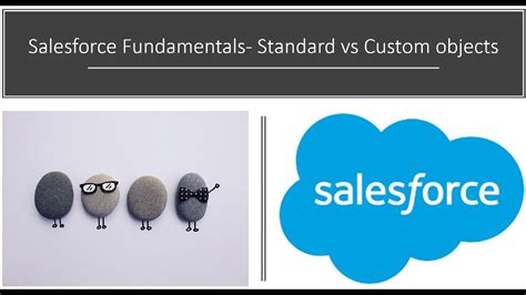 salesforce fundamentals standard vs custom objects learnwithme youtube