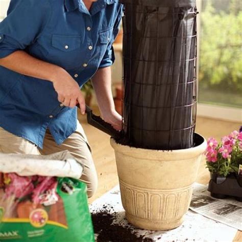 Cómo Poner Lindas Flores En Macetas Plantas