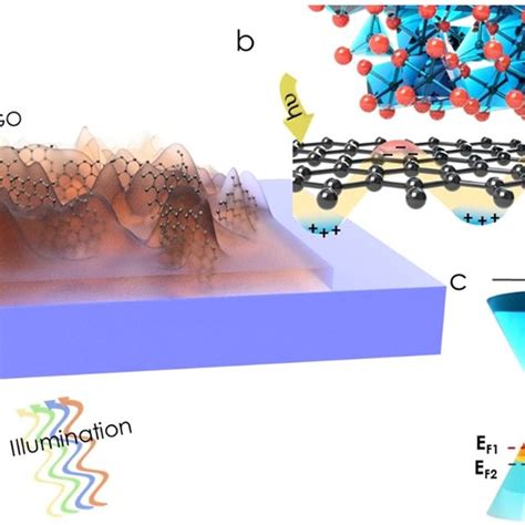 Overview Of The Morphology Correspondence To Local Band Structure A