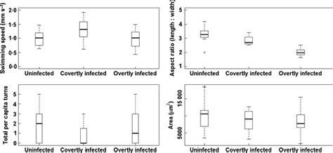 Differences In Behaviour And Morphology Among Paramecium With Differing Download Scientific