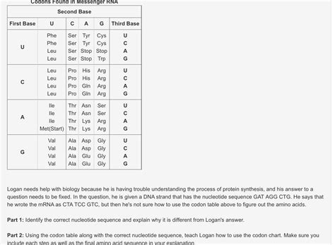 Solved Codons Found In Messenger RNA Table Second Chegg