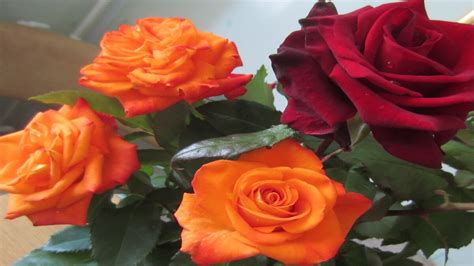 Слайд шоу из цветов💐 🌷 🌹 для любимой доченьки Поздравление с Днем Рождения МИР ВОКРУГ МЕНЯ Н