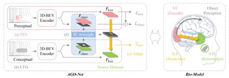 3d目标检测中点云的稀疏性问题及解决方案 Csdn博客