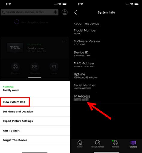 How To Find Roku IP Address In USA