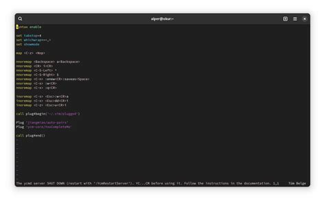 vim hazır config ve plugin dosyaları 🐍 kodlama bilinçli teknoloji tüketicileri