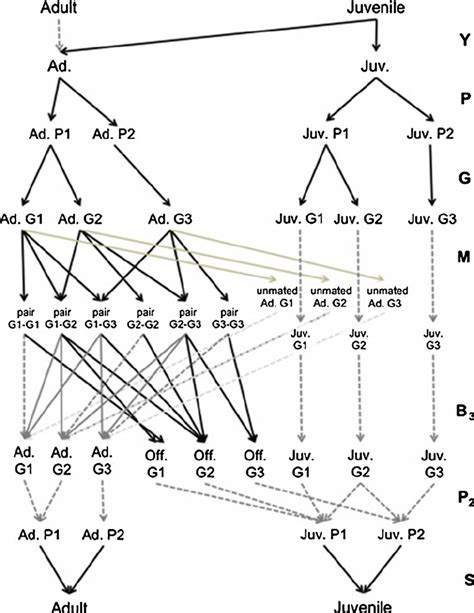 Cyclic Relationship Graph