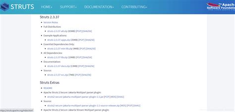 【struts2】idea2020 2 2创建struts2项目与简单环境搭建 struts2项目创建 csdn博客