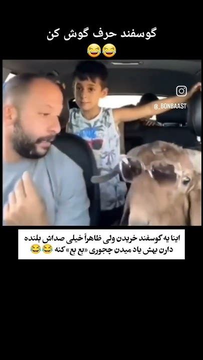 گوسفتد حرف گوش کن 😂😂 Youtube