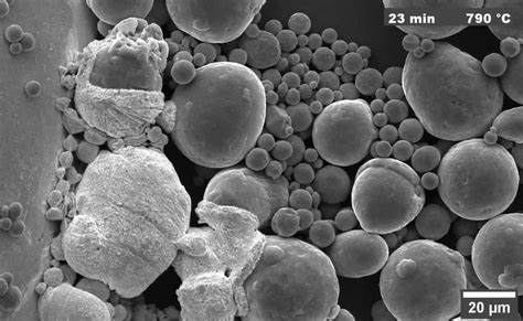 Scanning Electron Microscope Images