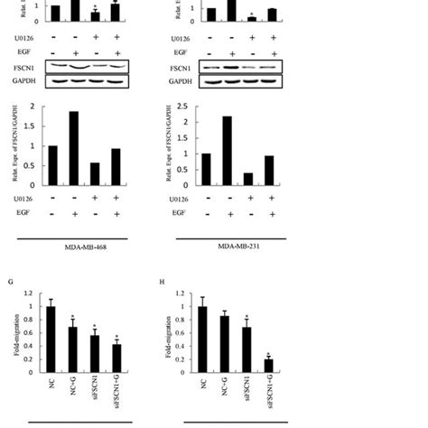Correlation Analysis Of The Tcga Breast Invasive Carcinoma Database