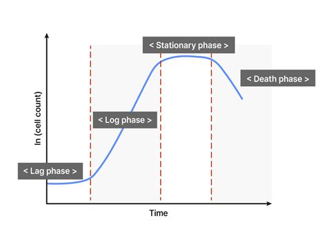 Cell Culture Growth Curves And Doubling Time With Luna Fx7