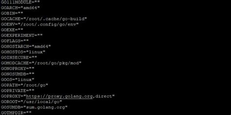 How To Install Go Programming Language On Debian 11