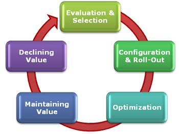 Managing The 5 Stages Of An ERP Life Cycle Trek Global
