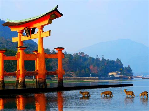 Япония | ВКонтакте