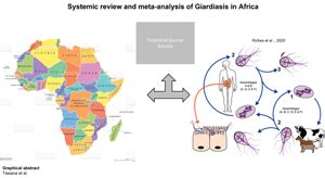 A ‘one Health Perspective Of Africa Wide Distribution And Prevalence