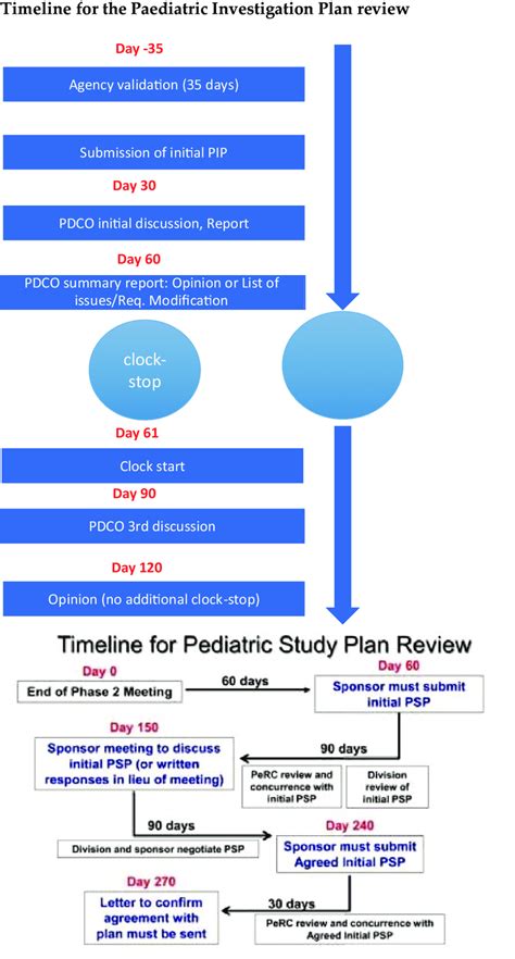 Timelines For Pip And Psp Process Psp Review Slide Provided From The