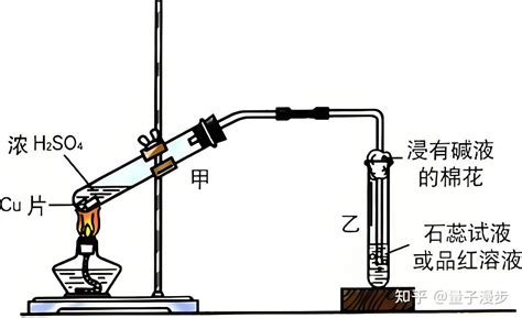 请问铜和浓硫酸反应的具体现象是什么？ 知乎