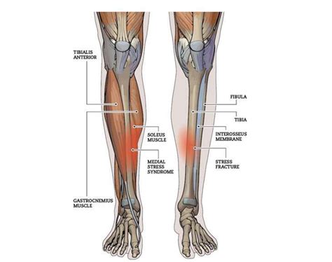 Running Leg Start Running Without Pain Ad Sacrum