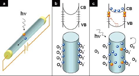 Sensors Free Full Text A Comprehensive Review Of One Dimensional Metal Oxide Nanostructure