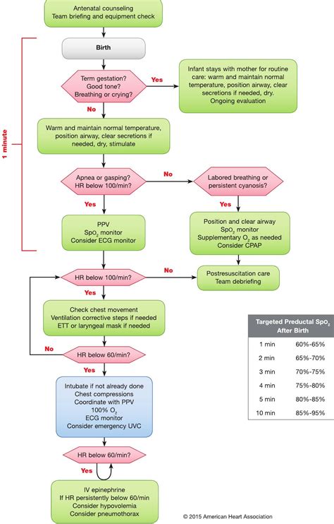 Neonatal Resuscitation Algorithm—2015 Update Figure 1