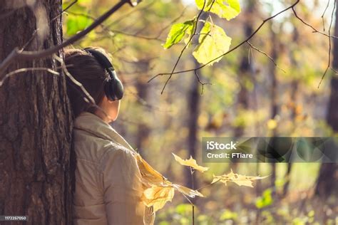 공원에서 큰 단풍 나무 근처에 서 헤드폰에 여성과 가을 숲에서 소리 나 음악을들을 수 있습니다 개념 인도 의 여름 시즌 가을에 대한 스톡 사진 및 기타 이미지 Istock