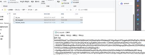 Gitlab Cicd用法gitlab Cicd Ssh登录到其他设备 Csdn博客