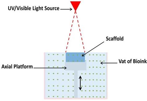 What Is 3d Bioprinting Basic Principles Techniques And Application Of 3d Bioprinting