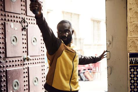 New Scientist Recommends The Lazarus Project And Ark Nova New Scientist