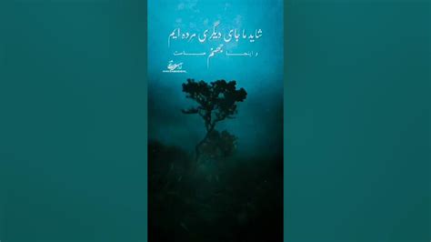 سیاوش محمودی Youtube