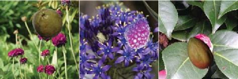 Figure 2 From A Cnn Based Model For Low Textured Object Detection And