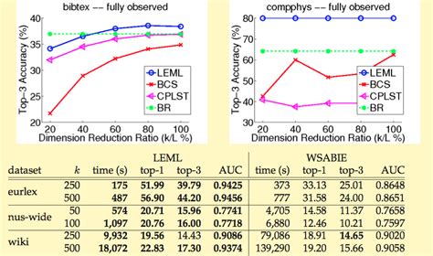 Large Scale Multi Label Learning Center For Big Data Analytics