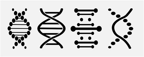 Dna 아이콘을 설정합니다 구조 분자 염색체 아이콘입니다 Dnk 생명 유전자 모델 바이오코드 유전학 분자 프리미엄 벡터