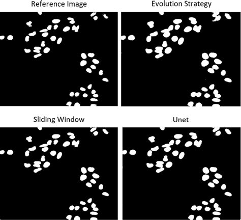 Comparison Of Cell Nuclei Segmentation Results On The Test Image