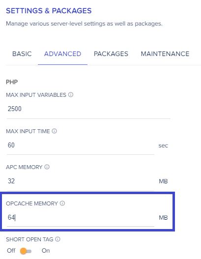best magento hosting requirements for your online store