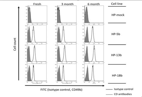 Detection Of Anti Human Platelet Antibodies Against Integrin α2β1 Using Cell Lines Pmc