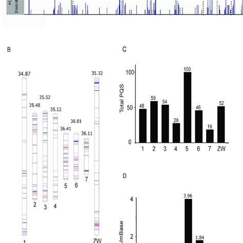 The Distribution Of Pqs Across The S Mansoni Chromosomal Assembly