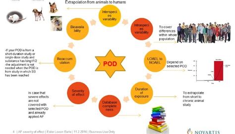 Pdeade Calculation Basics Pdeade Calculation Basics