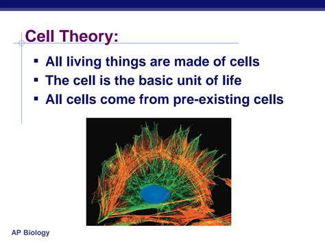 SOLUTION Unit Cell Structure And Function Studypool