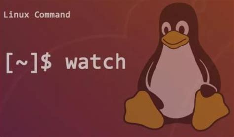 Linux watch命令及用法详解 不念博客