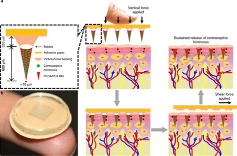 Transdermal Electroosmotic Flow Generated By A Porous 41 Off