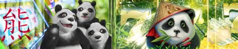 Top Panda Slots To Play Online And Where To Find Them
