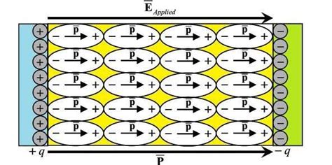 5 Schematic Representation Of Dielectric Polarization 33 Download
