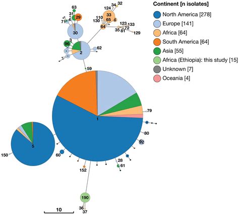 Frontiers Whole Genome Sequencing Of Ethiopian Brucella Abortus Isolates Expands The Known