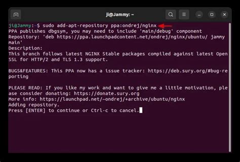 how to install latest nginx in ubuntu 24 04 22 04 step by step
