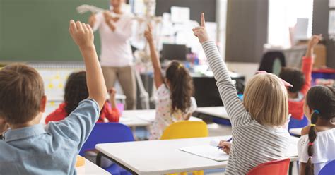 Strb The Education Hub