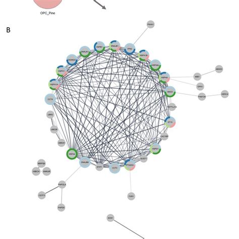 Shared Cluster Markers Of Populations Upregulated In Hd A Venn
