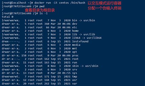 docker 常用【容器】命令 天翼云