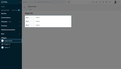 Widget Section Fields Element Cliq